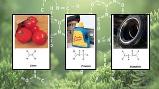 Clase 3.pptx | Chemistry | Science