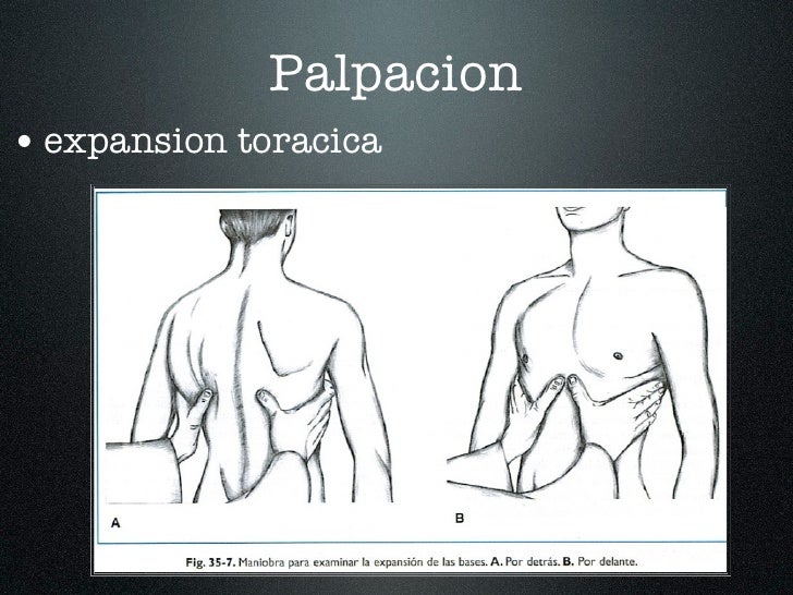 Clase 3 Examen Aparato Respiratorio