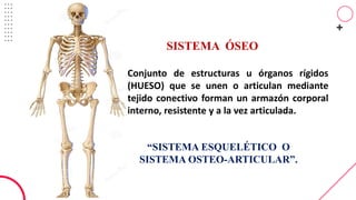 CLASE 3 - SISTEMA OSEO.pdf