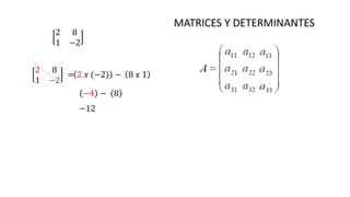 matrices y determinantes 2x2.pptx