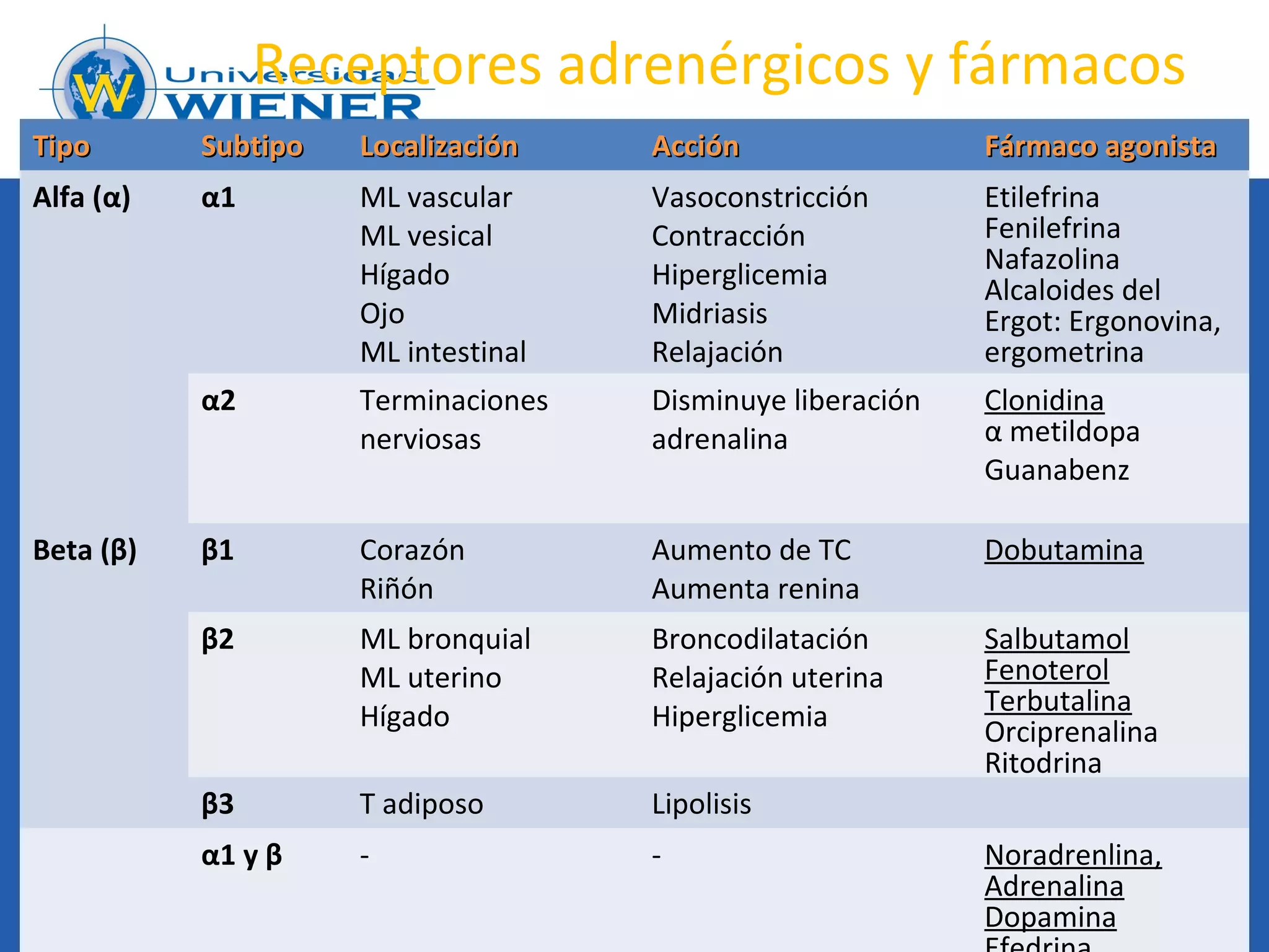 Clase 3 adrenregicos_y_bloquead | PPT