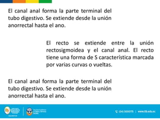 CLASE 3 ANATOMIA RADIOLOGICA DEL ABDOMEN.pptx