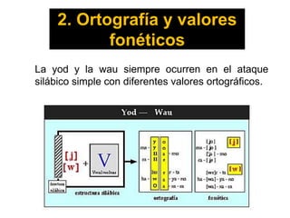Clase 3b las consonantes [ʝ] y [w] | PPTX