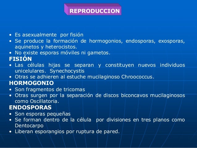 Clase 3 Cyanophyta