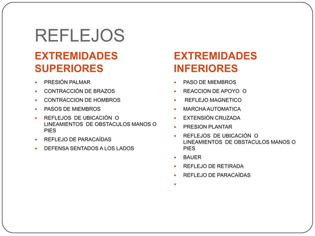 Clase 3 de los reflejos completa | PPTX
