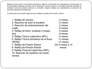 Clase 3 de los reflejos completa | PPTX