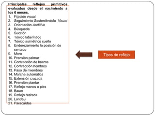 Clase 3 de los reflejos completa | PPTX