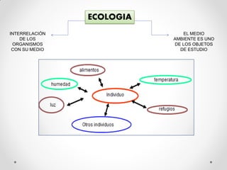 Clase 3 ecología y medio ambiente | PDF