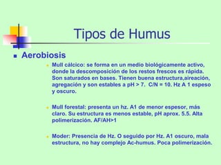 materia organica en el suelo | PPT