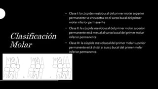 CONCEPTOS BÁSICOS DE OCLUSIÓN | PPTX