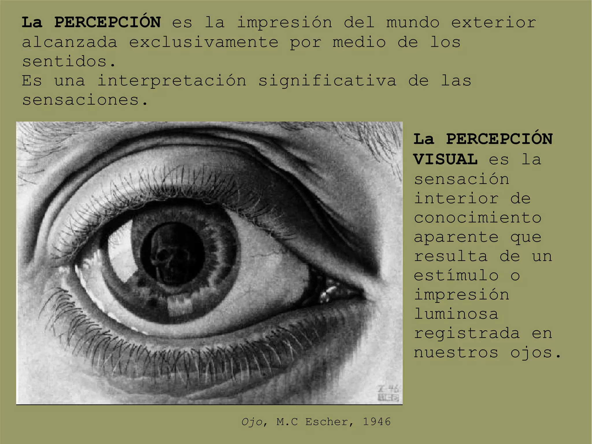 percepcion visual | PPT