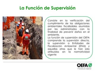 Clase 3 sinefa y fiscalizacion ambiental | PDF