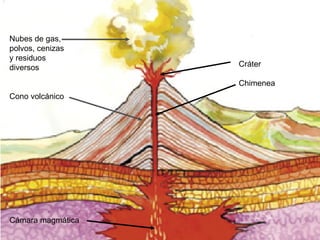Clase 3 sismicidad y volcanismo | PPT