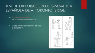 clase 3 stsg y tecal.pdf