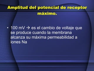 Clase 4 - Receptores Sencitivos - Circuitos Neuronales Para El ...