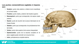 CLASE 4-IMAGENOLOGIA_CABEZA Y SNC 2024-0.pdf