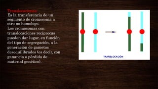 Clase 4 alteraciones cromosomicas | PPTX | Infertility | Reproductive ...