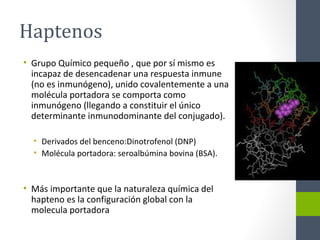 Curso Inmunologia 04 Antigenos | PPT
