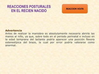 COMPONENTES NEUROFISIOLOGICOS EN EL EQUILIBRIO Y LA POSTURA | PPTX