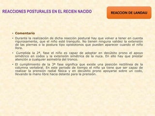 COMPONENTES NEUROFISIOLOGICOS EN EL EQUILIBRIO Y LA POSTURA | PPTX