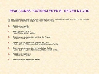 COMPONENTES NEUROFISIOLOGICOS EN EL EQUILIBRIO Y LA POSTURA | PPTX