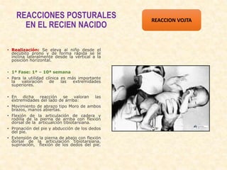 COMPONENTES NEUROFISIOLOGICOS EN EL EQUILIBRIO Y LA POSTURA | PPTX