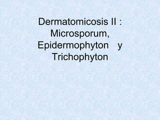 claseskskksskksn 4 Dermatofitos II tinea.ppt
