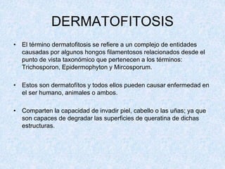 claseskskksskksn 4 Dermatofitos II tinea.ppt