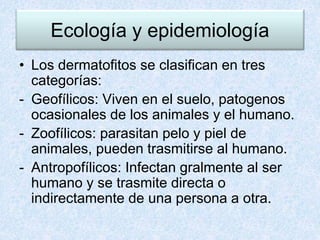 claseskskksskksn 4 Dermatofitos II tinea.ppt