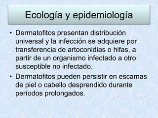 claseskskksskksn 4 Dermatofitos II tinea.ppt