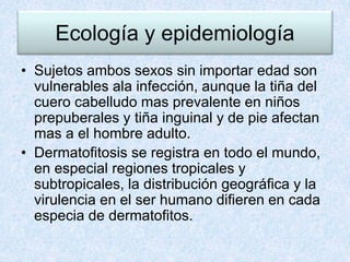 claseskskksskksn 4 Dermatofitos II tinea.ppt