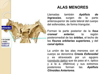 Clase 4 Esfenoides y Temporal 2023.pptx