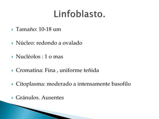 Clase 4 hematologia | PPTX