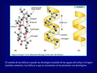 Clase 4 PéPtidos De Secuencia Definida | PPT