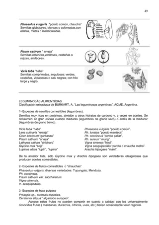Clase 4 Rosales Bromatologia | PDF
