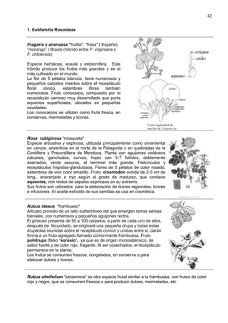 Clase 4 Rosales Bromatologia | PDF