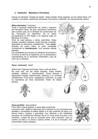 Clase 4 Rosales Bromatologia | PDF