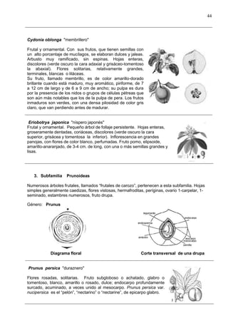 Clase 4 Rosales Bromatologia | PDF