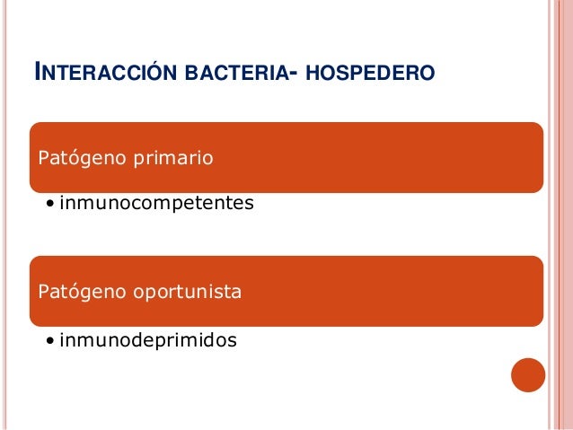 Patogenicidad bacteriana ,epiemiologia de cada una