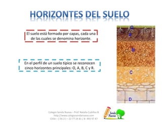 Clase5: suelo | PPT