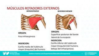 CLASE 5.pptx