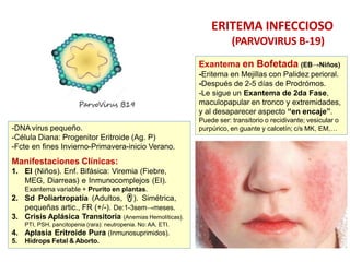 Clase 5. Exantema febril.pptx