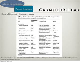 Clase 5. sarcomastigota | PDF