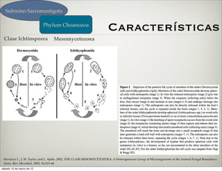 Clase 5. sarcomastigota | PDF