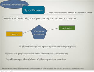 Clase 5. sarcomastigota | PDF