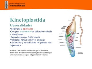 Clase 5-TEORIA- PARASITOLOGIA - UNFV (2).pdf