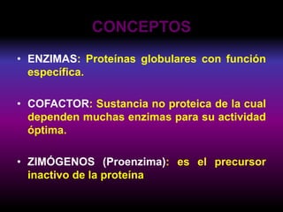 Clase 5 enzimas | PPTX