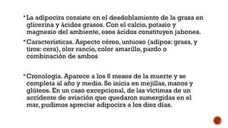 Hallazgos de los principales fenomenos cadavericos.pptx