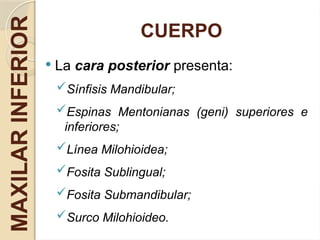 Clase 5 (Parte 1) Huesos de la Cara 2025.pptx