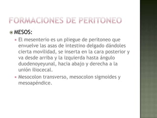Clase5 peritoneo | PPT